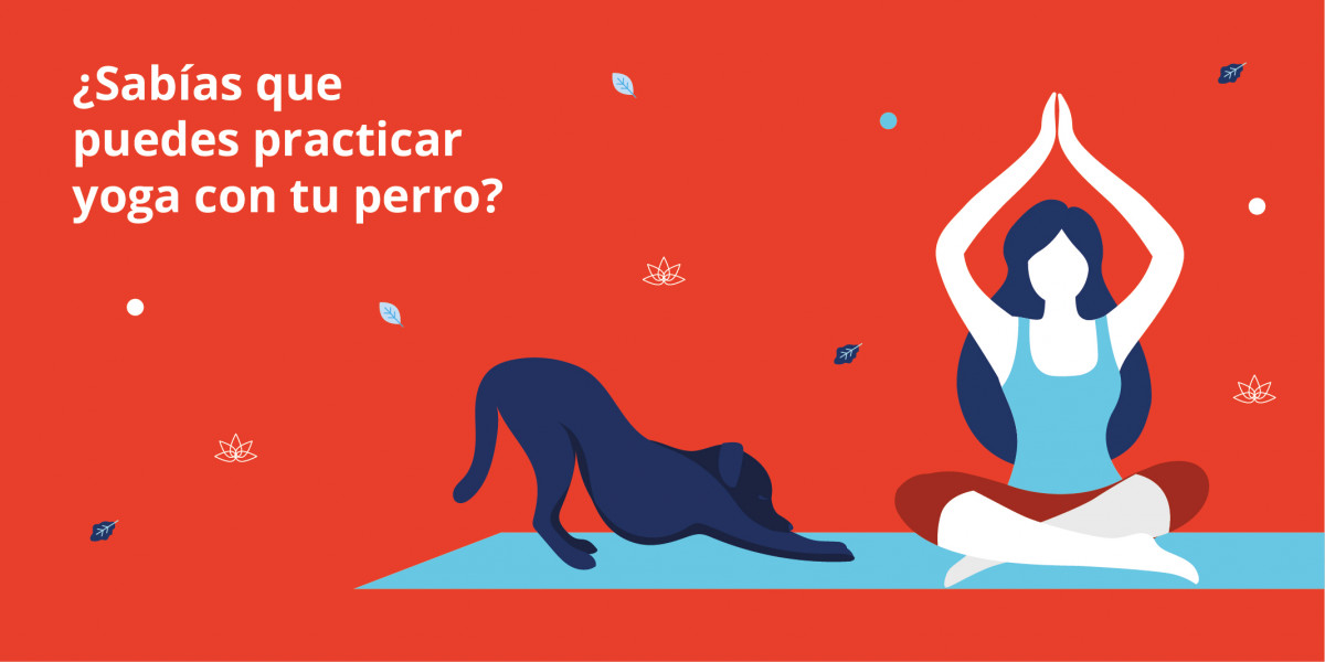 El doga: cómo podemos practicar yoga con nuestro perro