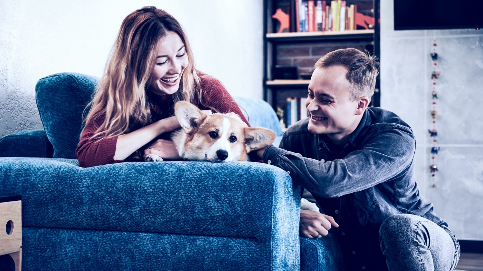 Cómo entretener a tu perro cuando no puedes sacarlo a pasear